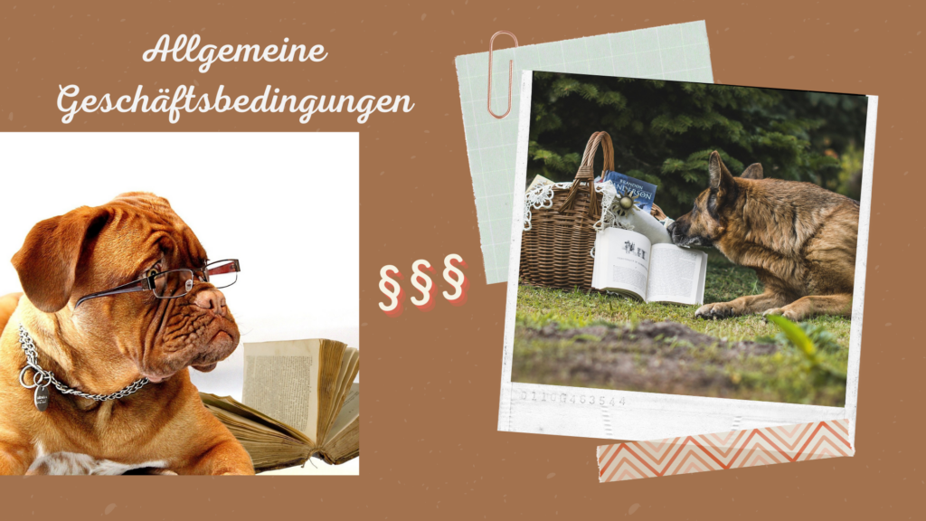 Allgemeine Geschäftsbedingungen (AGB) - SCHLÜTERS SCHNÜFFELSCHULE